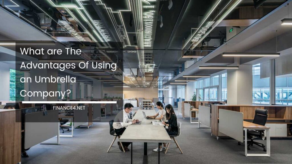 What is an Umbrella Company